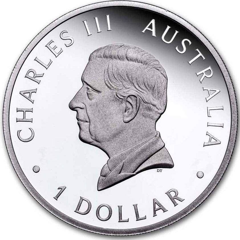 Australia 2024 $1 Australian Swan 1oz Silver Proof Coin Perth Mint ...